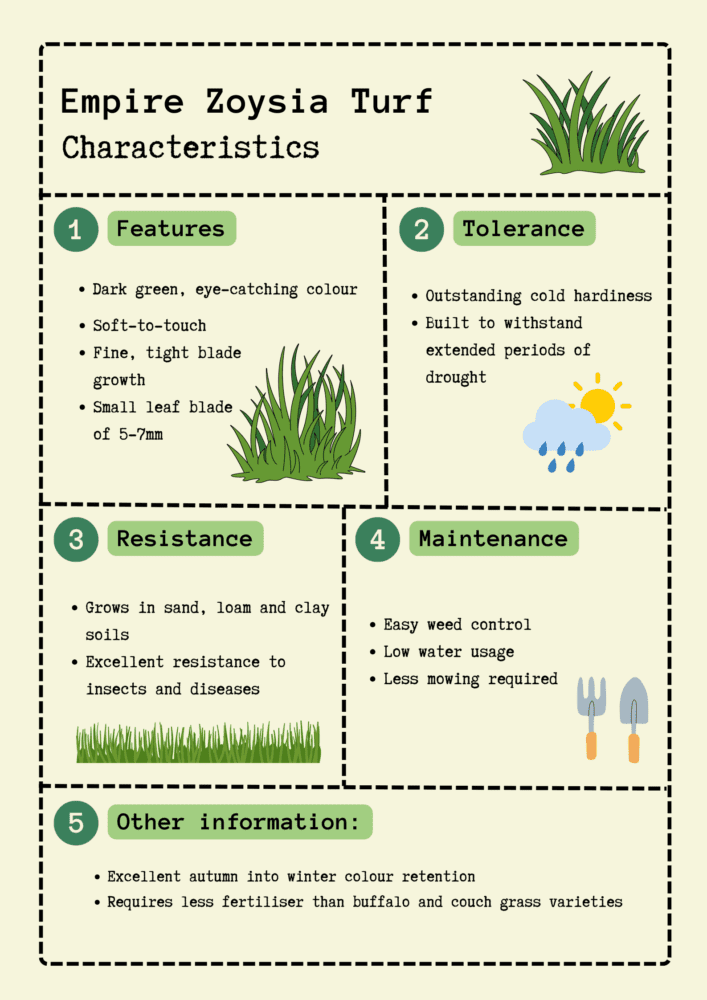 Empire Zoysia Turf Brisbane | Budget Turf