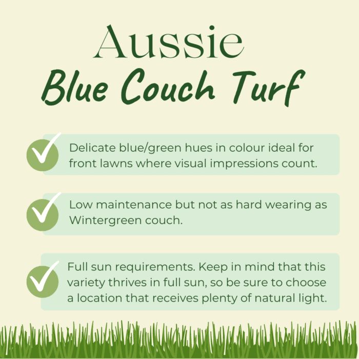 Aussie Blue Couch Turf | Budget Turf Brisbane